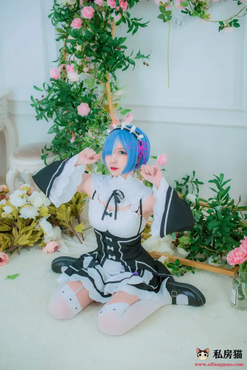 二佐Nisa – 蕾姆2号本 蕾姆女仆 [33P-236MB] 资源下载[百度网盘+OneDrive]-私房猫官网