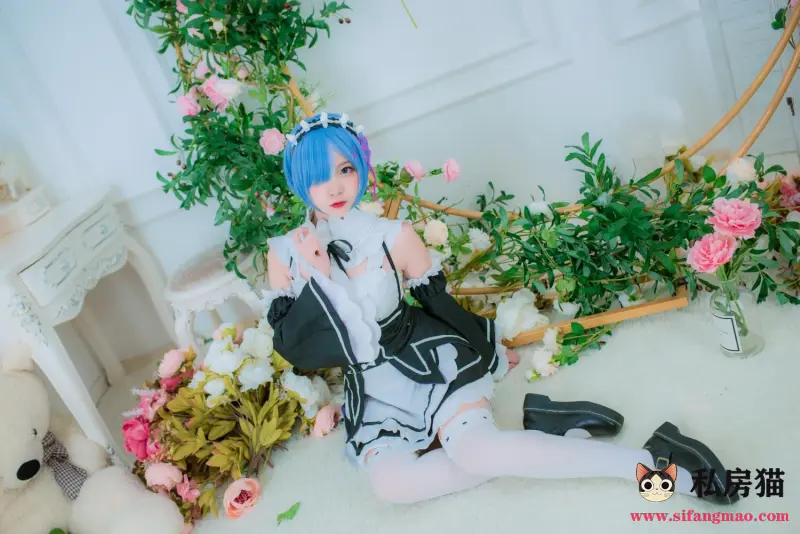 二佐Nisa – 蕾姆2号本 蕾姆女仆 [33P-236MB] 资源下载[百度网盘+OneDrive]-私房猫官网