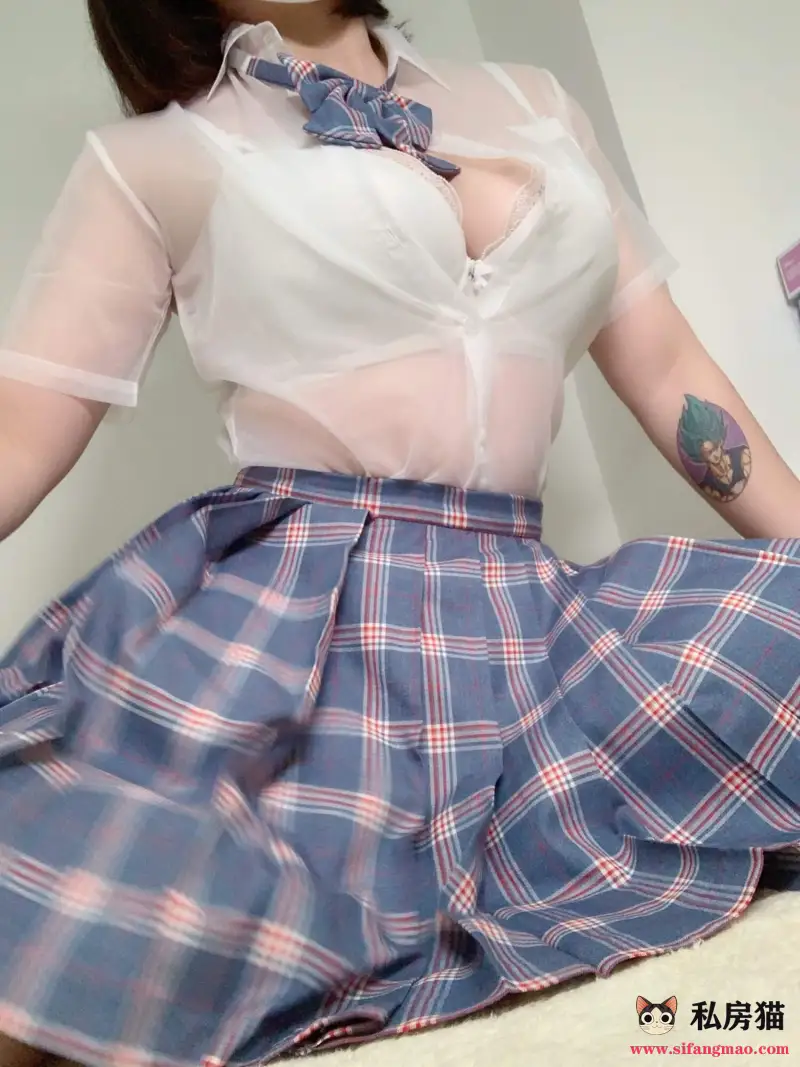 皮皮奶 – jk透明制服自拍 [35P-73.9MB] 资源下载[百度网盘+OneDrive]-私房猫官网