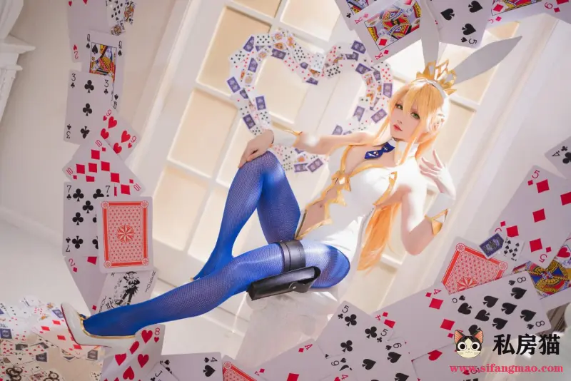 星之迟迟 – FGO狮子王 [22P-110MB] 资源下载[百度网盘+OneDrive]-私房猫官网