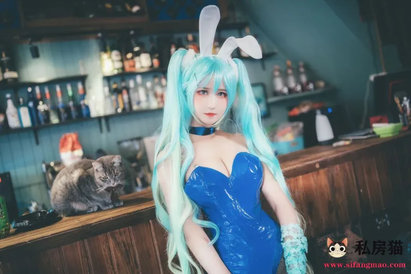 三度_69 – 琴女兔女郎 [41P-296MB] 资源下载[百度网盘+OneDrive]-私房猫官网