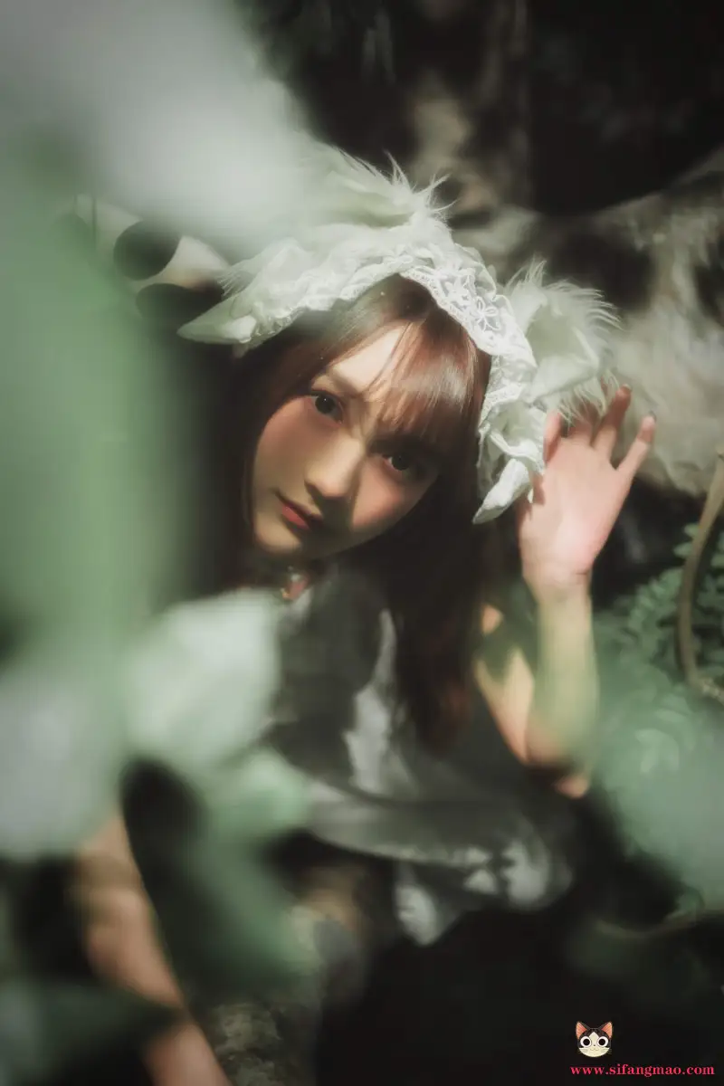 兔子Zzz不吃胡萝卜 – 魔法之树 [33P-326MB] 资源下载[百度网盘+OneDrive]-私房猫官网