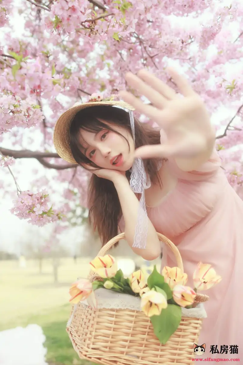 贰加六 – 樱之浪漫 [23P-198MB] 资源下载[百度网盘+OneDrive]-私房猫官网