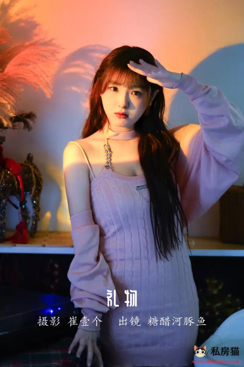 炸鸡冰可乐 – 礼物 [23P-288MB] 资源下载[百度网盘+OneDrive]-私房猫官网