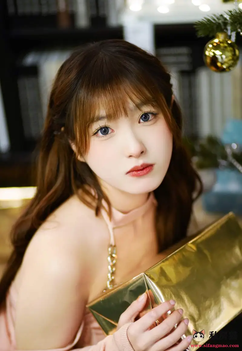 炸鸡冰可乐 – 礼物 [23P-288MB] 资源下载[百度网盘+OneDrive]-私房猫官网