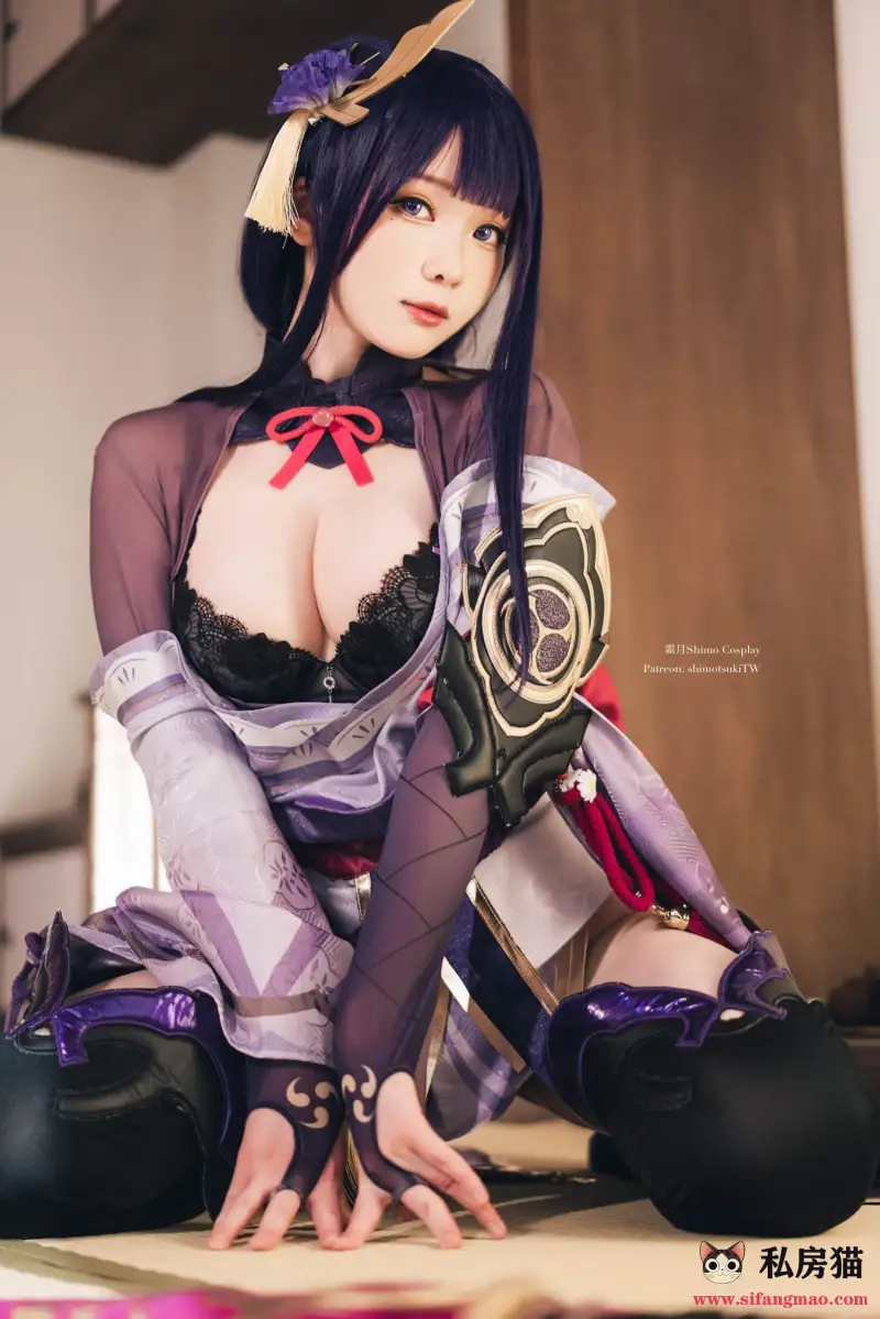 霜月shimo – Raiden Shogun [15P-210MB]-乐摄图