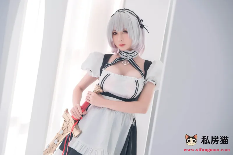 西园寺南歌 – 女仆本 天狼星 [35P-162MB]-乐摄图