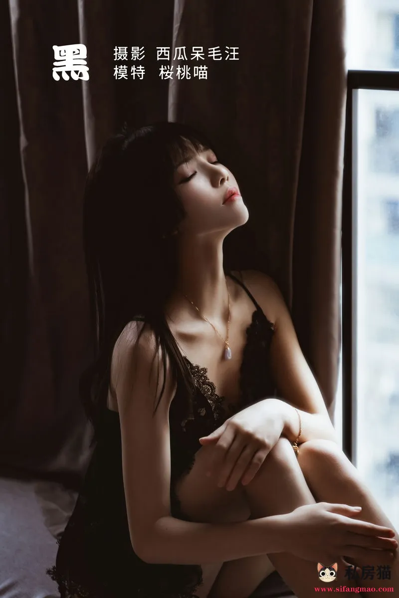 桜桃喵 – 黑 [21P-163MB]-乐摄图