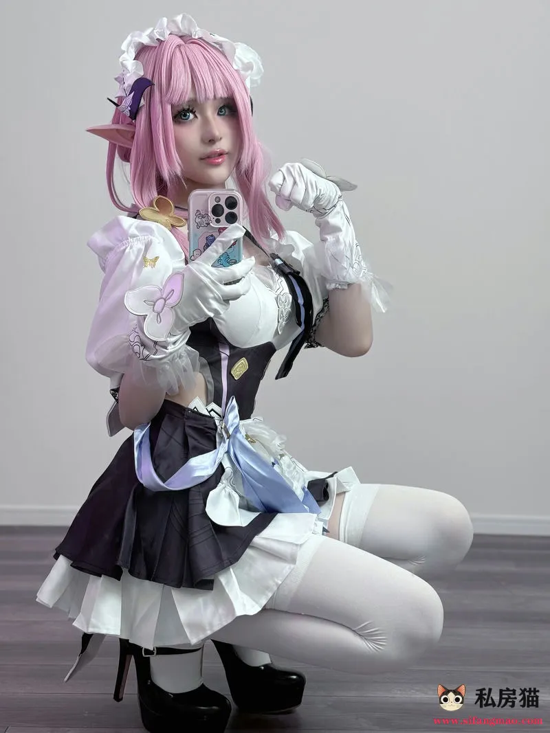 幼愛Youmeko – 崩坏3 爱莉希雅女仆装 [20P-68.5MB] 资源下载[百度网盘+OneDrive]-私房猫官网